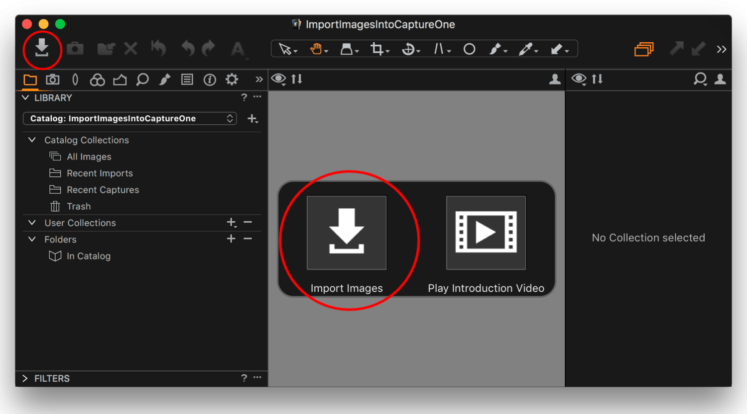 Importing Images Into Capture One • Image Alchemist