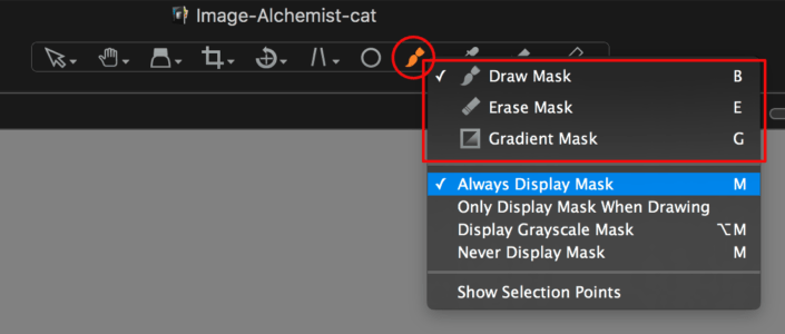 Capture One Layers Continued • Image Alchemist