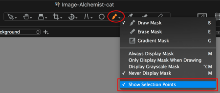 Capture One Layers In-Depth (part 2) • Image Alchemist