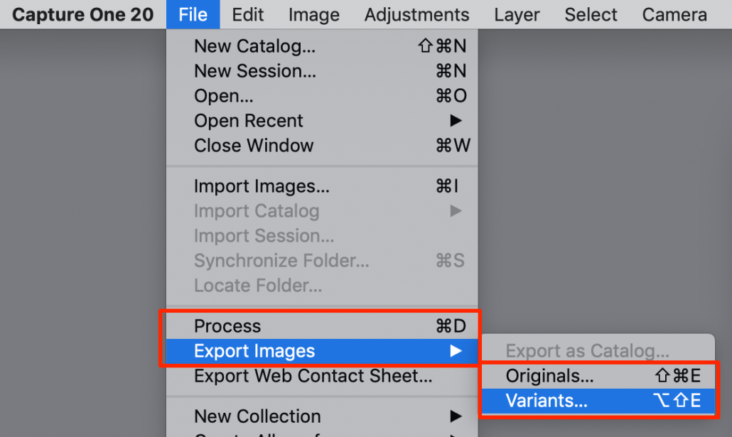 Advanced File Naming In Capture One (part 2) • Image Alchemist