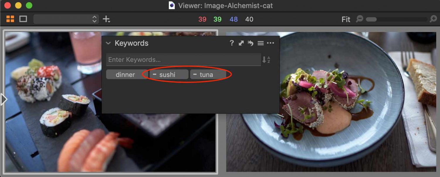 Using Keywords in Capture One • Image Alchemist