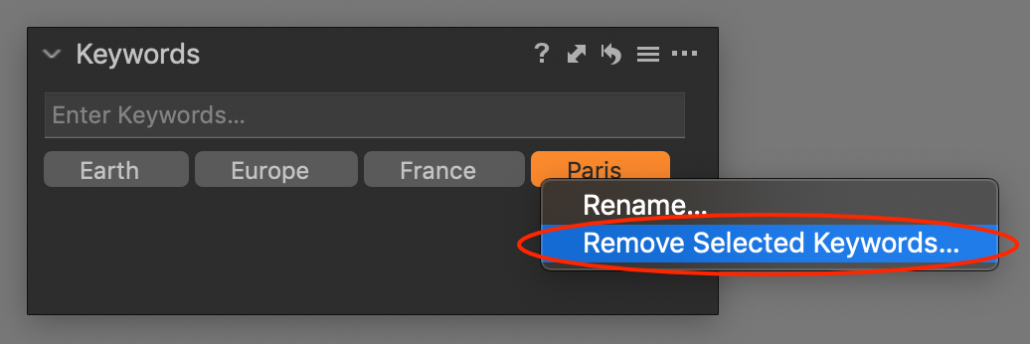 Using Keywords in Capture One • Image Alchemist