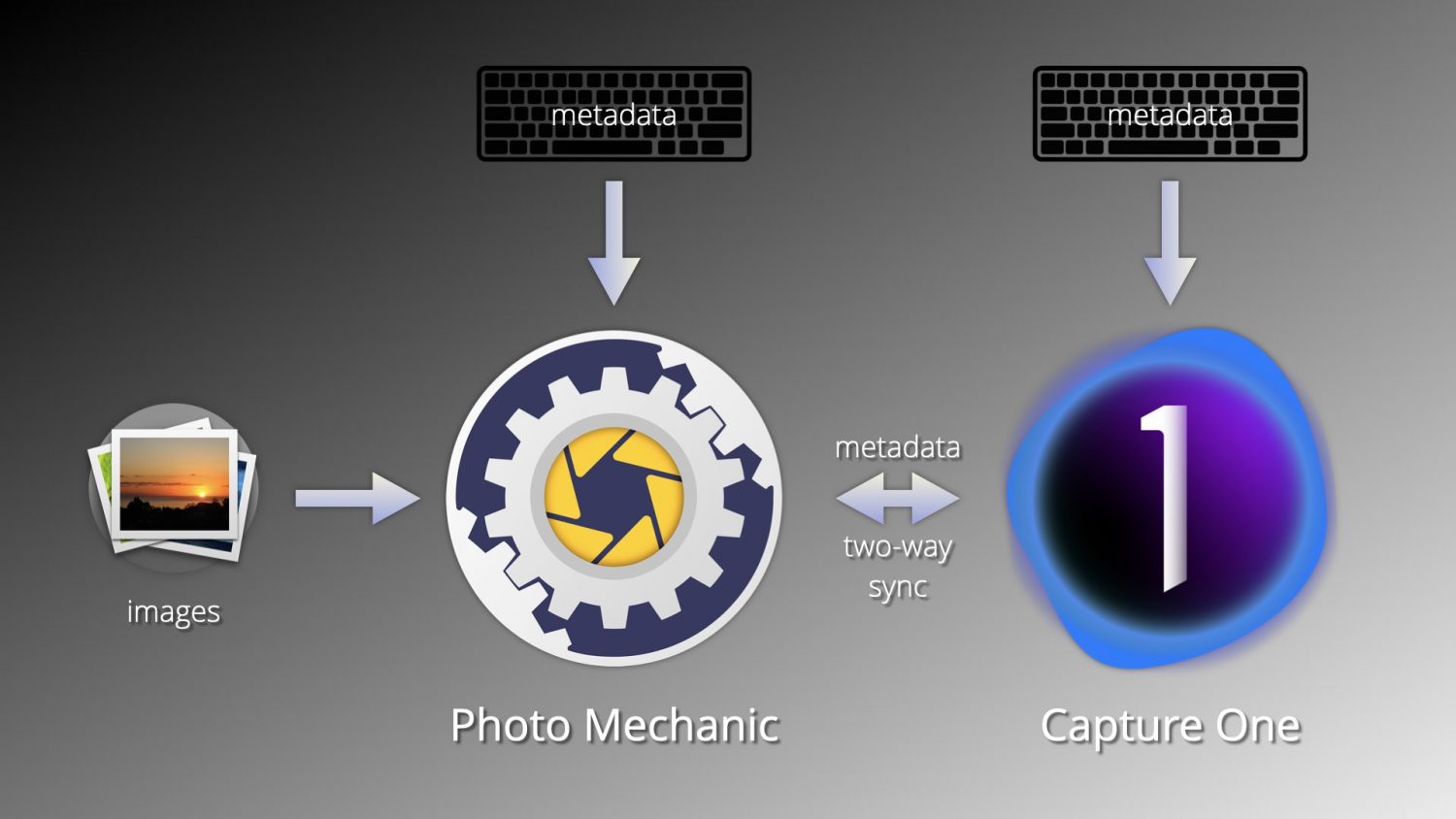 Sync Metadata Between Photo Mechanic And Capture One • Image Alchemist
